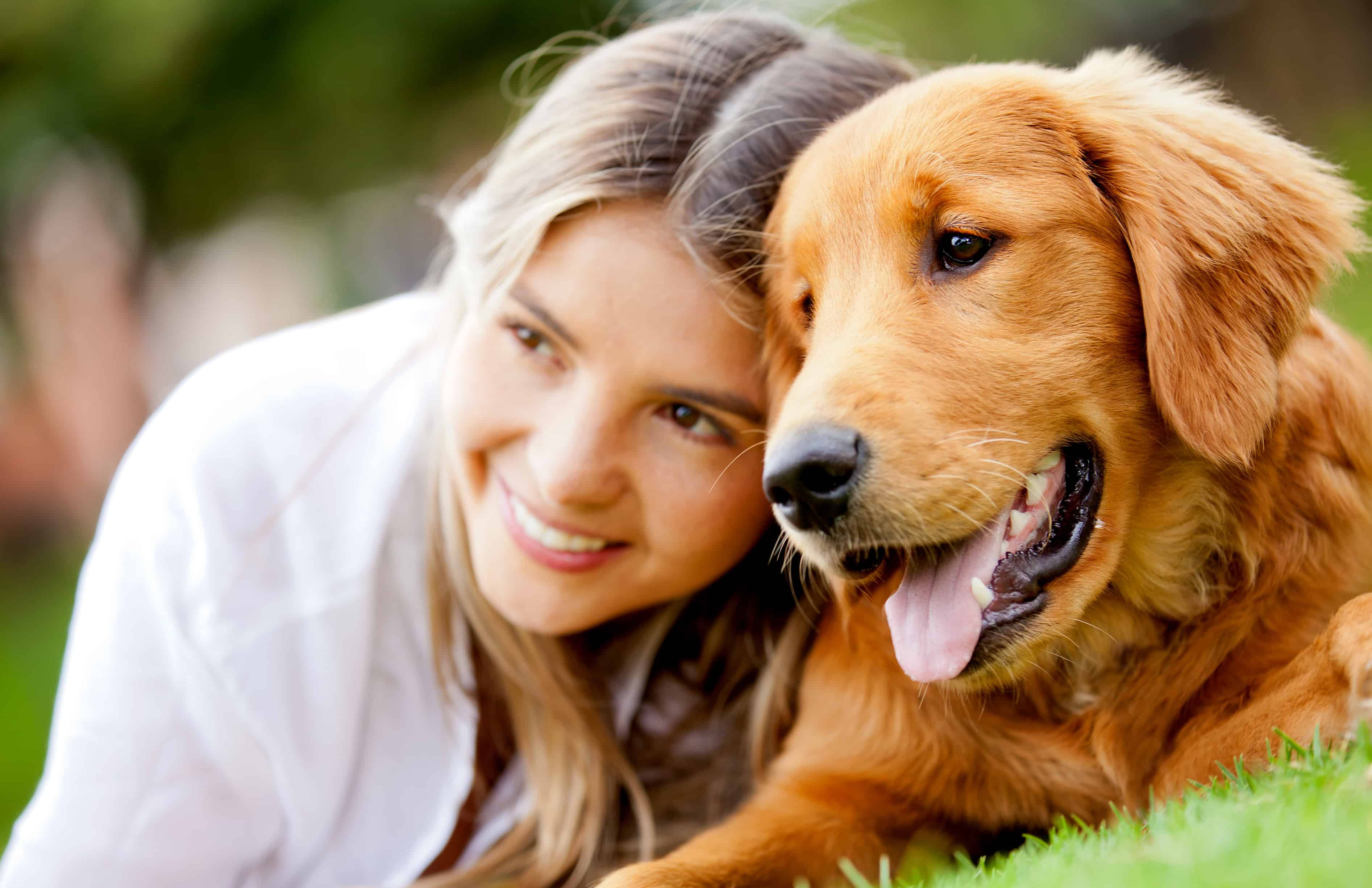 Why Dog Owners Have So Much to Be Thankful For | Dog Training Now